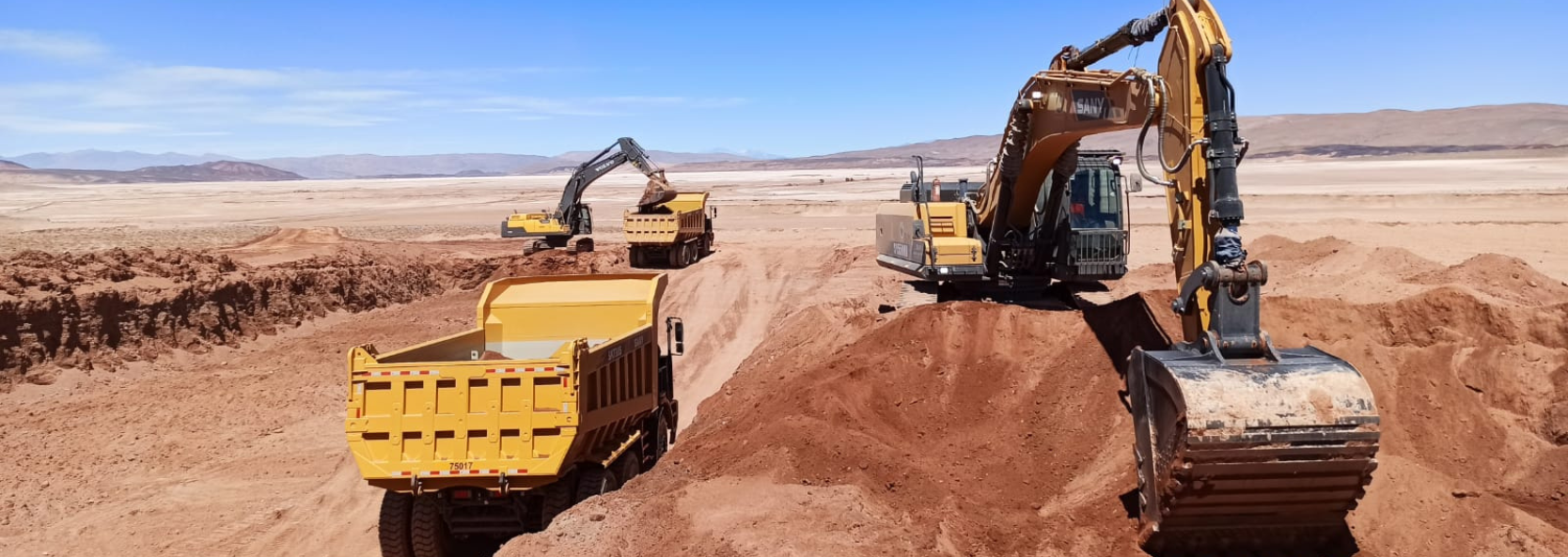 Milicic | Sal de Oro